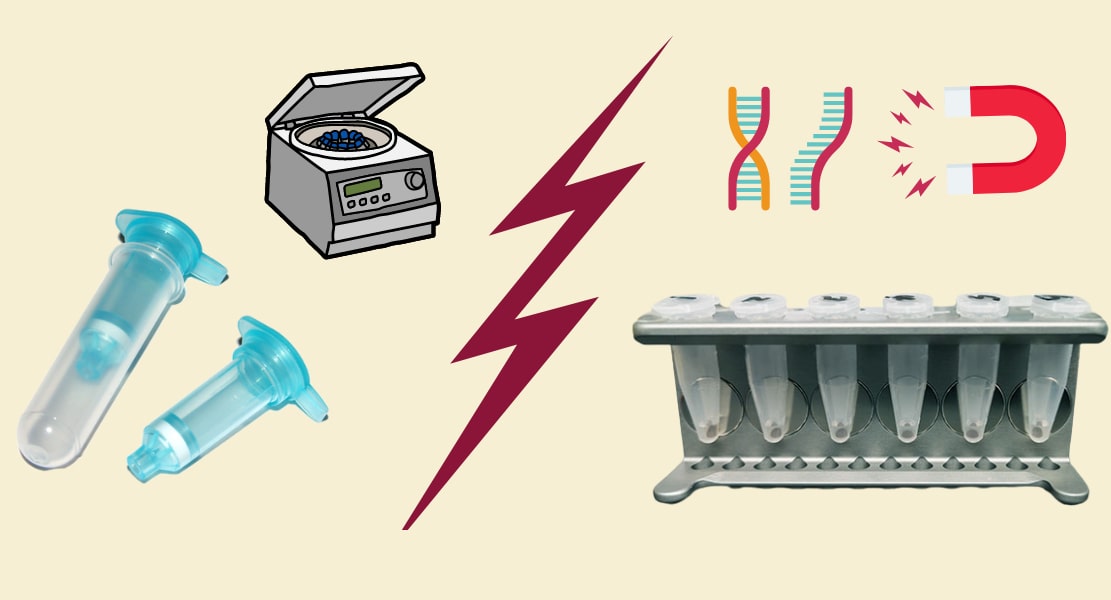 Automated Extraction: Silica Column VS Magnetic Bead - TBR MEDICAL