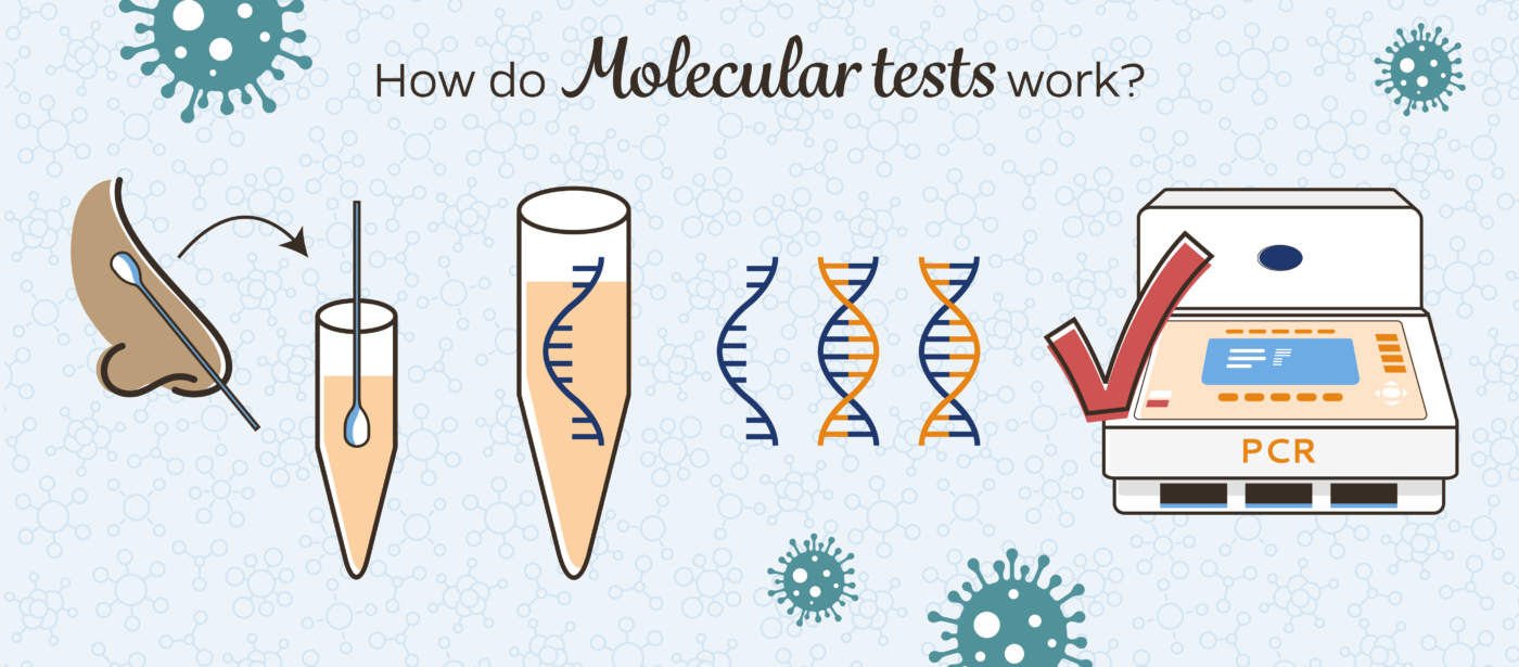 What is PCR testing? - TBR MEDICAL